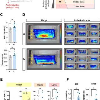 Experimental Design A Chronic Stress CS Protocol Lasting 21 Days To Download Scientific
