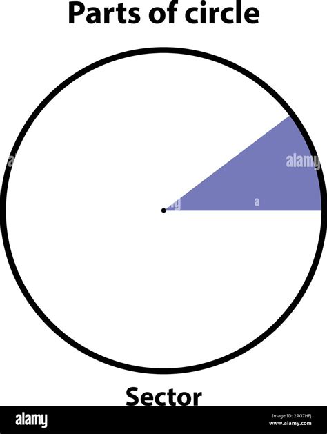 Parts Of Circle Sector Highlight In Blue Color Vector Illustration On White Background Stock