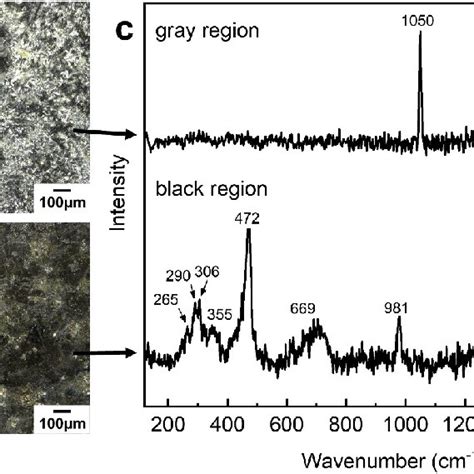 Raman Spectra Of The Corrosion Layer Of Sample No 2 Layer 1 And Layer