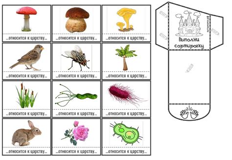 Природа Окружающий мир Распечатки по предмету презентация онлайн