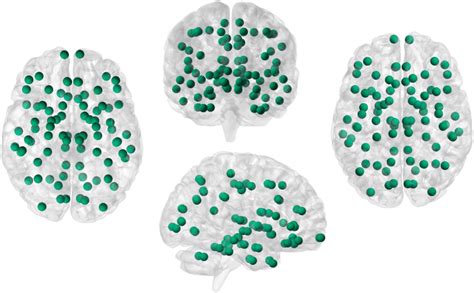 Included Nodes For Connectome Construction Based On The Download