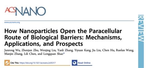 纳米医学领域顶级期刊《acs Nano》发表邵龙泉团队研究成果 科研院