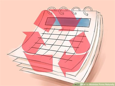 Expert Advice On How To Minimize Pores Naturally WikiHow