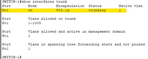 The Ccie Lab How To Configure Dhcp Snooping On Switch Dhcp Server On