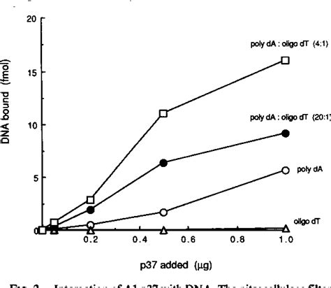 Figure 2 From The Subunits Of Activator 1 Replication Factor C Carry Out Multiple Functions