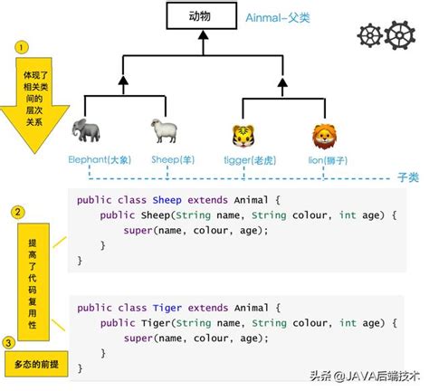 子类继承父类的构造方法带你认识继承（extends） 简明教程 Csdn博客