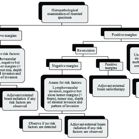 Revised 2021 Figo Staging Of Vulvar Cancer Stage I Tumor Confined To