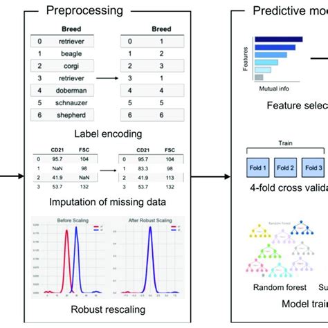 The Three Types Of Data Used In The ML Models And Schematic Overview Of Download Scientific