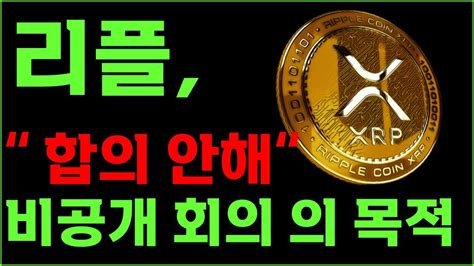 리플 합의 안한다고요 왜자꾸 회의 하자는걸까 리플가격 리플전망 Youtube