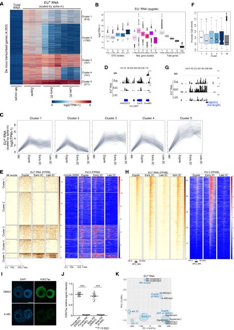 detection of newly synthesized rna reveals transcriptional reprogramming during zga and a role
