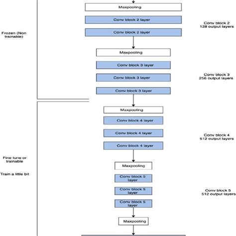 Proposed Fine Tuned Vgg 19 Architecture Download Scientific Diagram
