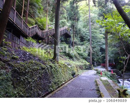 洒水の滝しゃすいのたきへ向かう歩道神奈川県足柄上郡山北町平山2023年8月撮影の写真素材 106849889 PIXTA