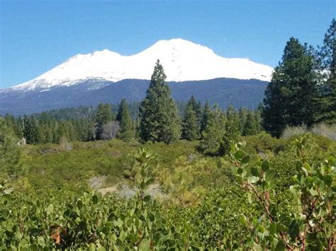 Lot 48 Christian Way Mt Shasta Ca 96067 Redfin
