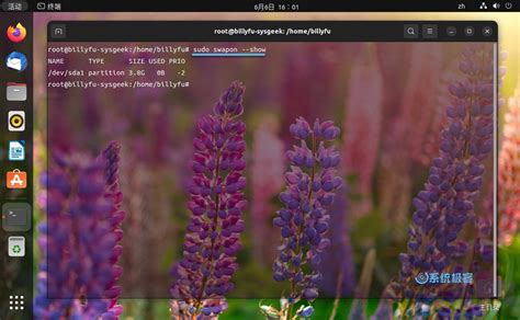 如何在 ubuntu 中创建、删除和调整 swap 空间 系统极客
