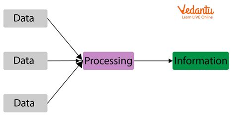 What Is Data And Information Learn Definition Types Examples And