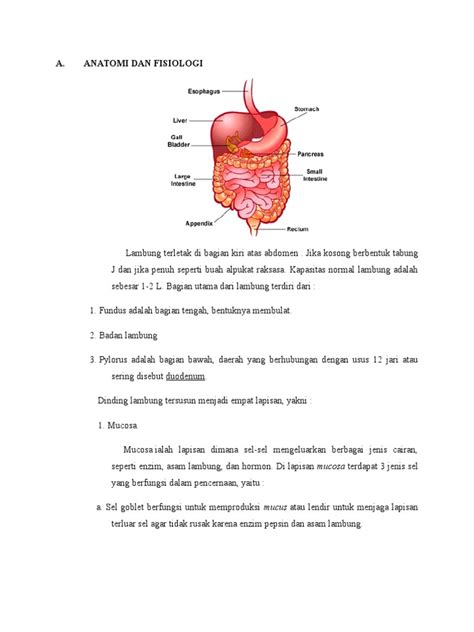 Lp Ulkus Peptikum Pdf