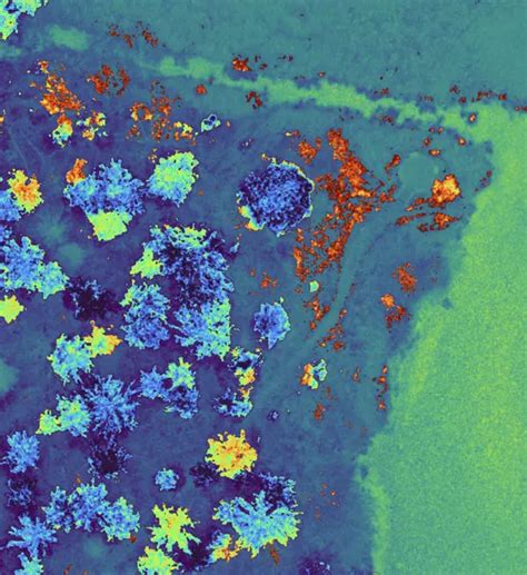 Micasense Rededge P Dual Hpdrones