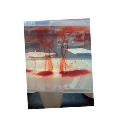 Exploring Convection Currents Lab Activity Palmer Marine Science INC