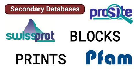 Secondary Databases Definition Types Examples Uses