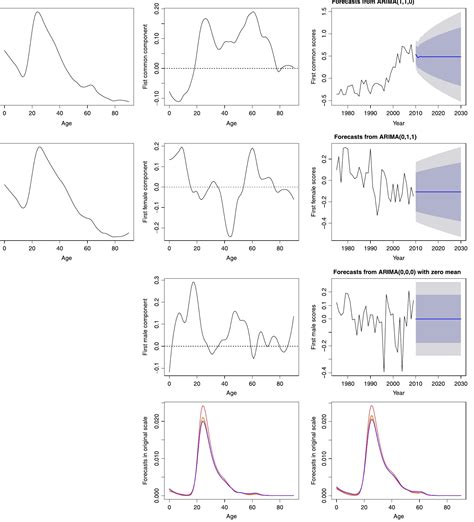 Functional Principal Component Decomposition For The