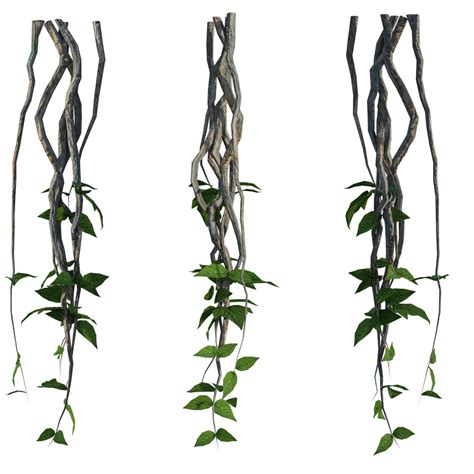 Vine Symbol