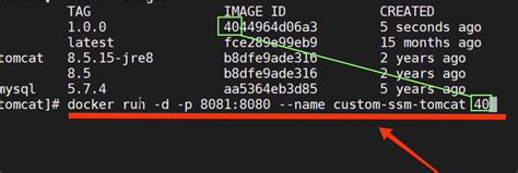 Docker自定义镜像 Csdn博客
