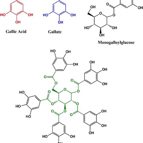 Molecular Structure Of Phytic Acid Right And Of Mono Ferric Phytate