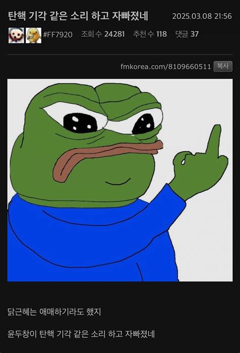 껄껄 정치 시사 에펨코리아