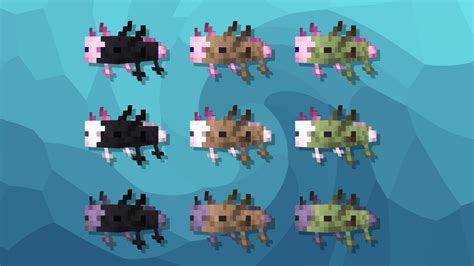 Amazing Axolotls Gallery Minecraft Bedrock Texture Packs Curseforge