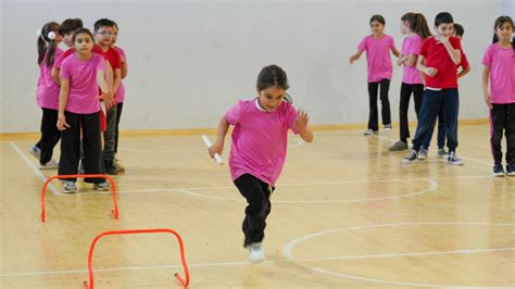 საქართველოს განათლების მეცნიერებისა და ახალგაზრდობის სამინისტრო 🔹საქართველოს განათლების