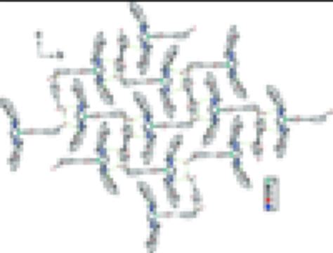 View Of The Two Dimensional Supramolecular Structure Of The Title