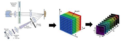 illustration of three dimensional data generated by msi download
