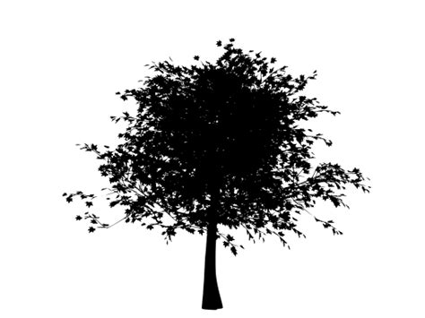 SVG Tree Leaves Autumn Free SVG Image Icon SVG Silh