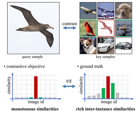 【前沿研究】跨图像相似度建模对比学习方法 Inter Instance Similarity Modeling For Contrastive Learning 知乎