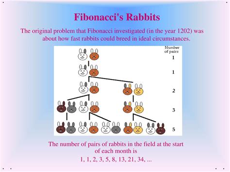 Fibonacci Rabbit Chart