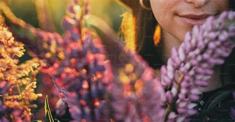 시골 들판에서 일몰 빛에 루팡 꽃다발을 들고 있는 아름다운 여자의 초상화 고요한 분위기의 순간 여름 초원에서 따뜻한 햇살에 루핀 꽃을 가진 젊은 여성 사진