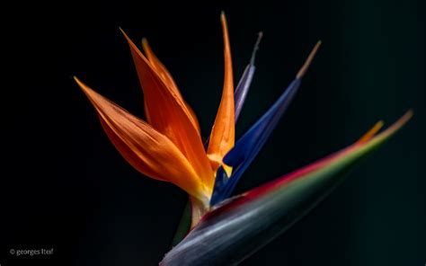 Large Prime Number Generation For Rsa Cryptography