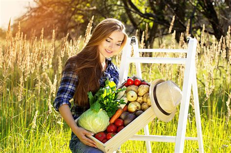 예쁜 젊은 웃는 소녀는 야채의 전체 나무 상자를 유지 여름 수확 가을에 대한 스톡 사진 및 기타 이미지 가을 건강한 생활방식 건강한 식생활 Istock