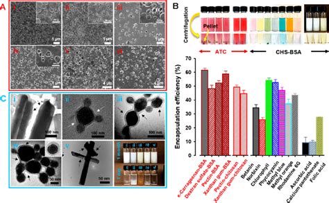 A Variety Of Coreshell Nanostructures A SEM Images Of Various Download Scientific Diagram