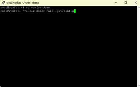 How To Remove Remote Origin From A Git Repository In Linux