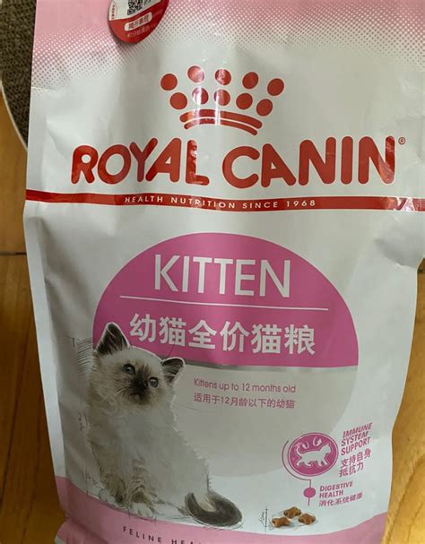 小猫多大吃猫粮0 6月小奶猫喂养攻略 知乎