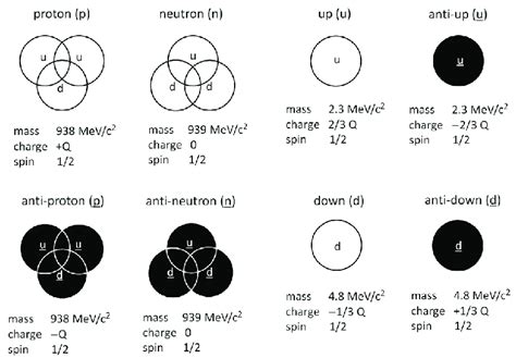 Quantum Chromodynamics Qcd Representations Of Protons And Neutrons