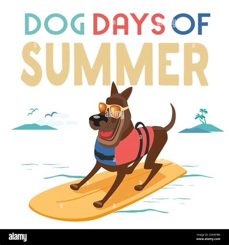 Dog Days Of Summer On Sea Beach Fancy Vector Poster Cute Dog In