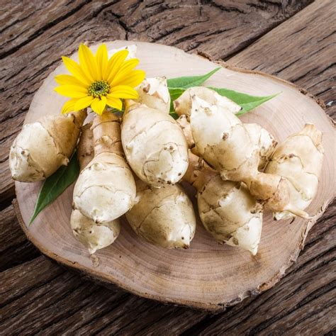 What Are Sunflower Chokes At Monica Drolet Blog