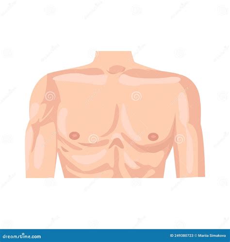 Male Chest Flat Icon Colored Vector Element From Body Parts Collection Creative Male Chest