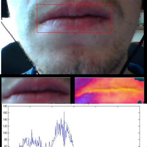 Lip Detection Face Characteristics Detection The First And The Last