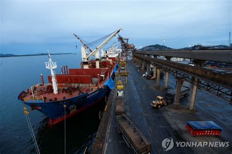 中 브라질산 콩 일부 선적 중단…업체 5곳 위생 기준 미충족 파이낸셜뉴스