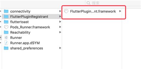 Ios原生项目集成flutter Module不使用cocoapodsflutter模块中使用的第三方无效 Flutter Build Ios Release No