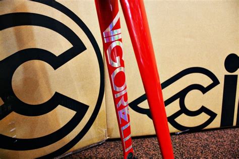 도프존 치넬리 비고렐리 샤크 프레임세트 입고 완료 네이버 블로그