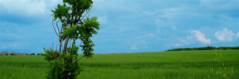 Remove Unwanted Wordpress Menu Items Barry Kooij